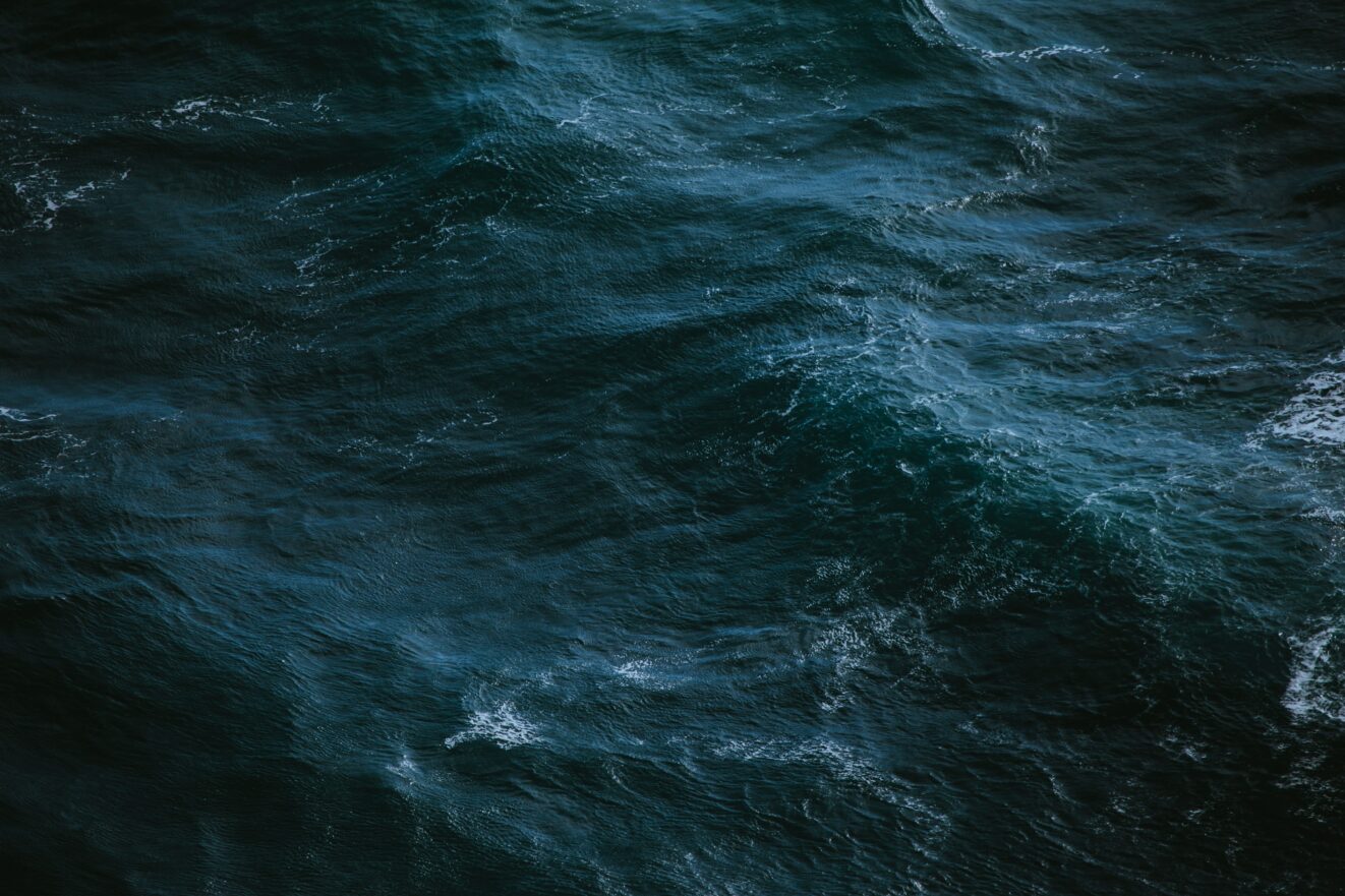 Daspos: Proactive Protection Through Advanced Detection